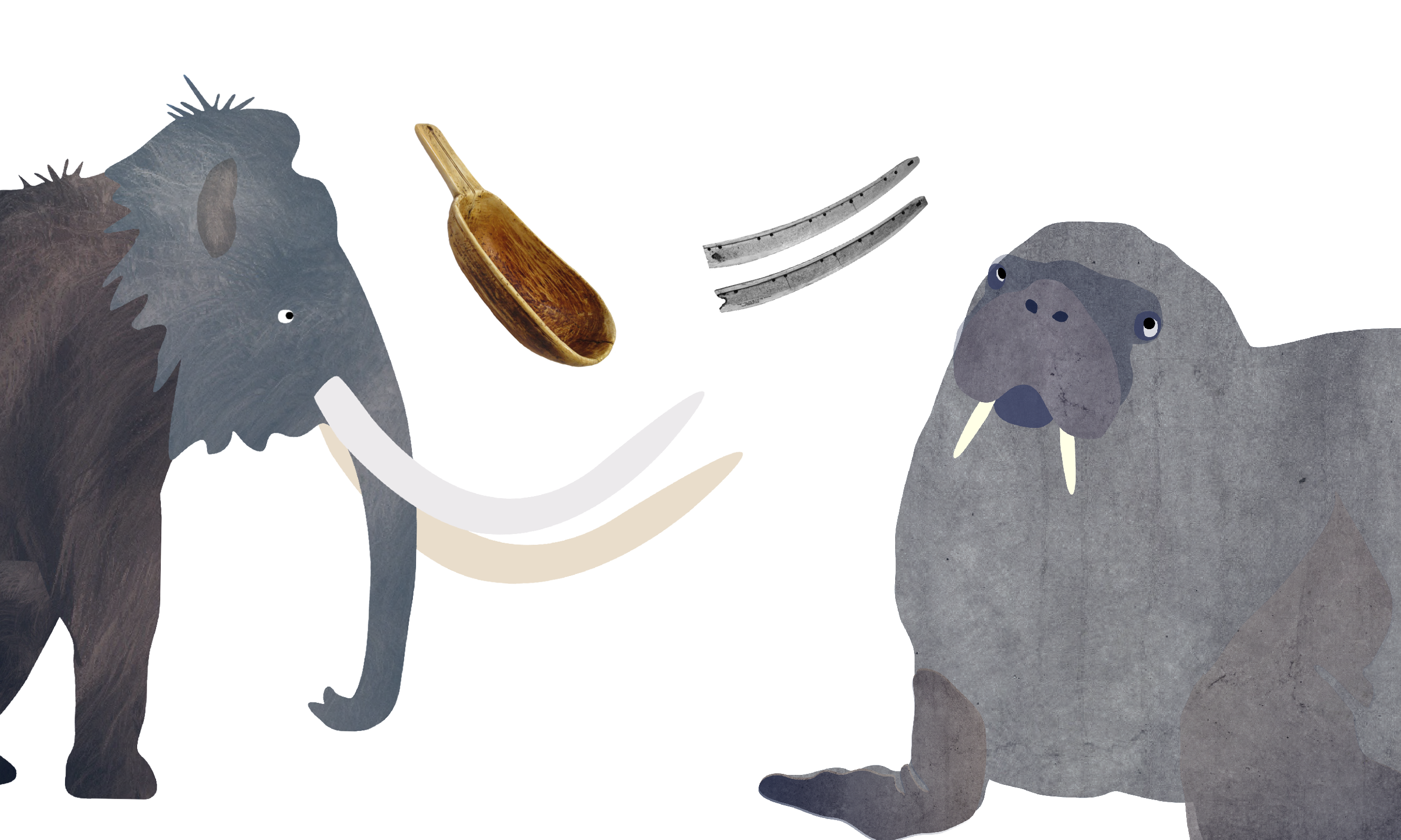 Ivory Trails | Pitt Rivers Museum