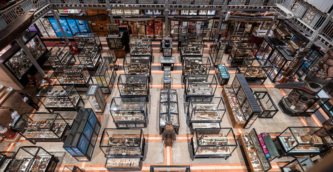 Home | Pitt Rivers Museum