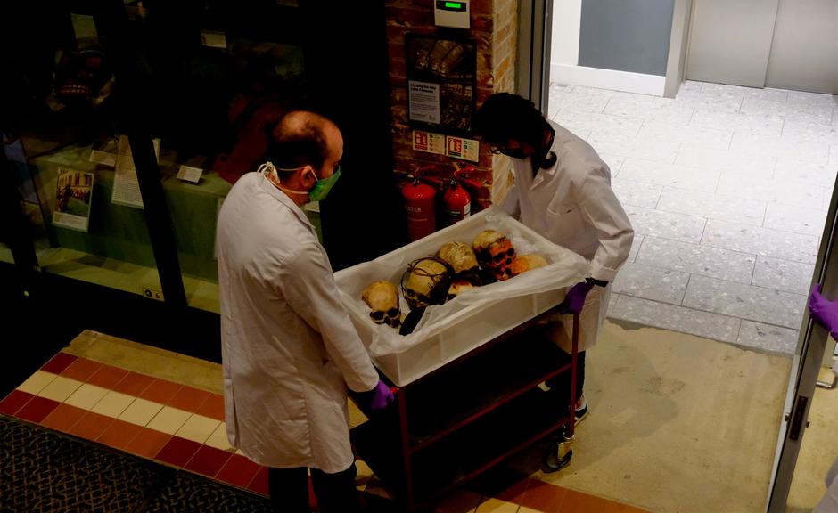 Human remains in the Pitt Rivers Museum | Pitt Rivers Museum