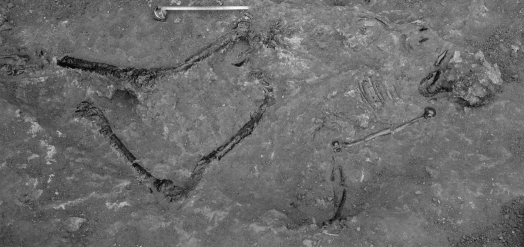 A Pioneer of Prehistory: Dorothy Garrod and the Caves of Mount Carmel ...