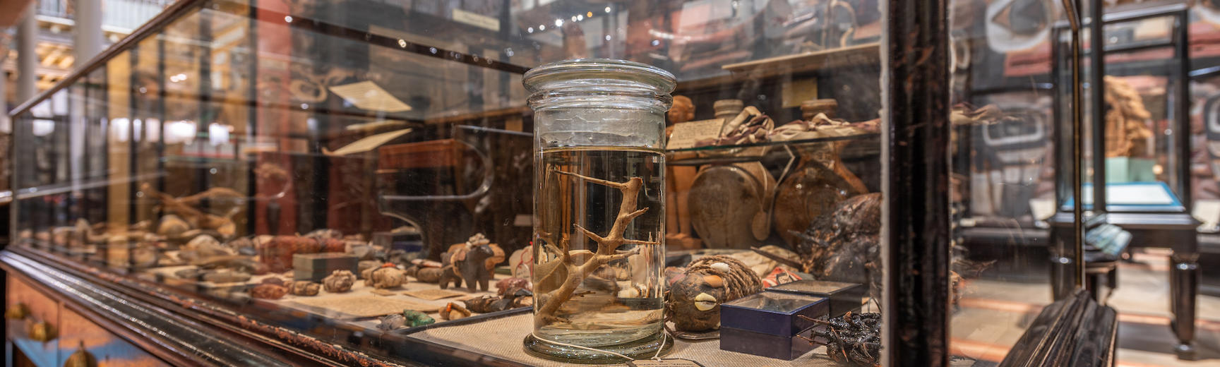 About us | Pitt Rivers Museum