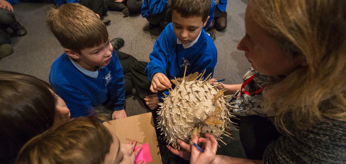 primary-schools/Learning-from-Objects | Pitt Rivers Museum
