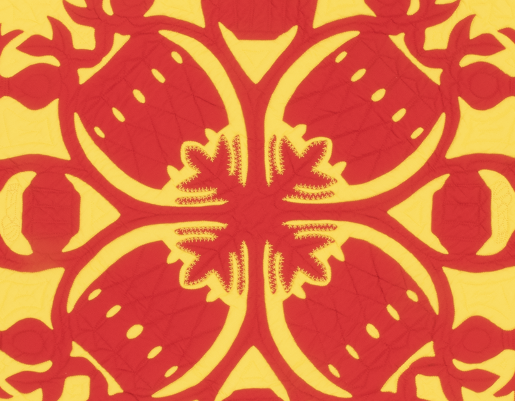 Solomon Enos Ahupuaʻa | Pitt Rivers Museum