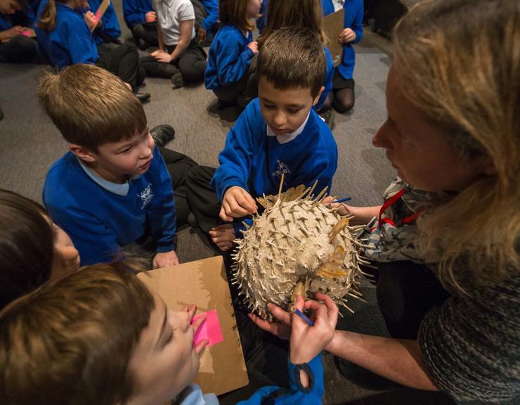 primary-schools/Learning-from-Objects | Pitt Rivers Museum