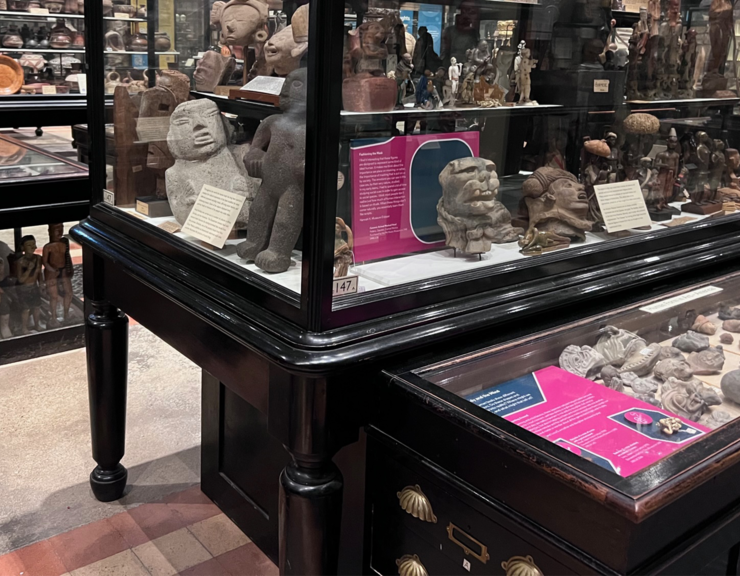 Exhibitions and Displays | Pitt Rivers Museum