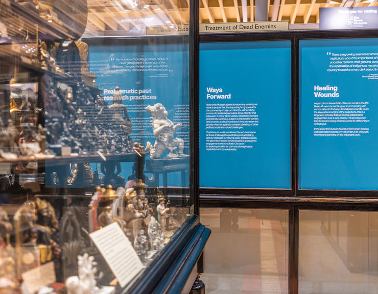 Collections | Pitt Rivers Museum