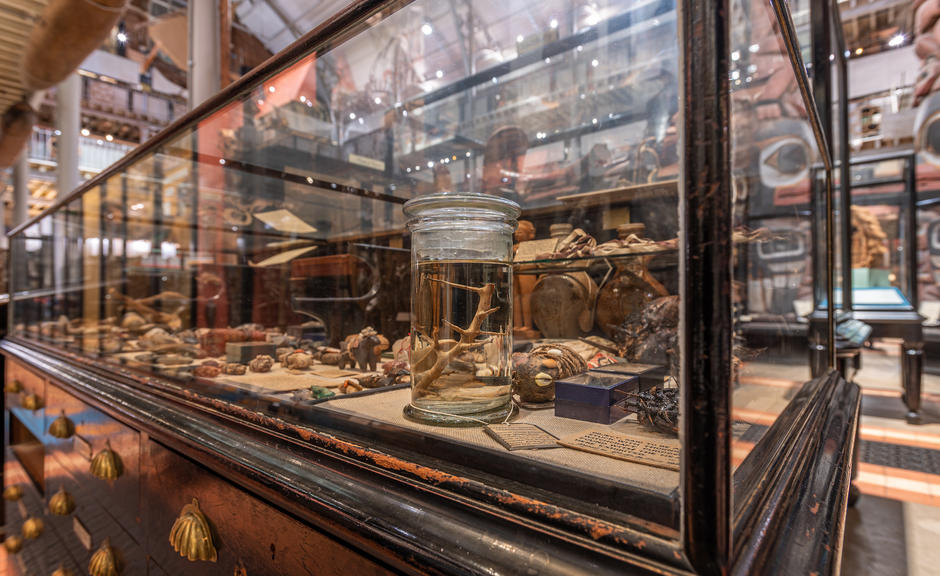 About us | Pitt Rivers Museum